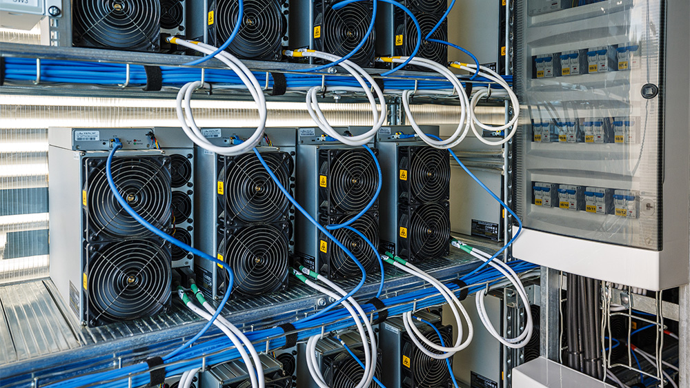 20 feet Databox - Enerhash